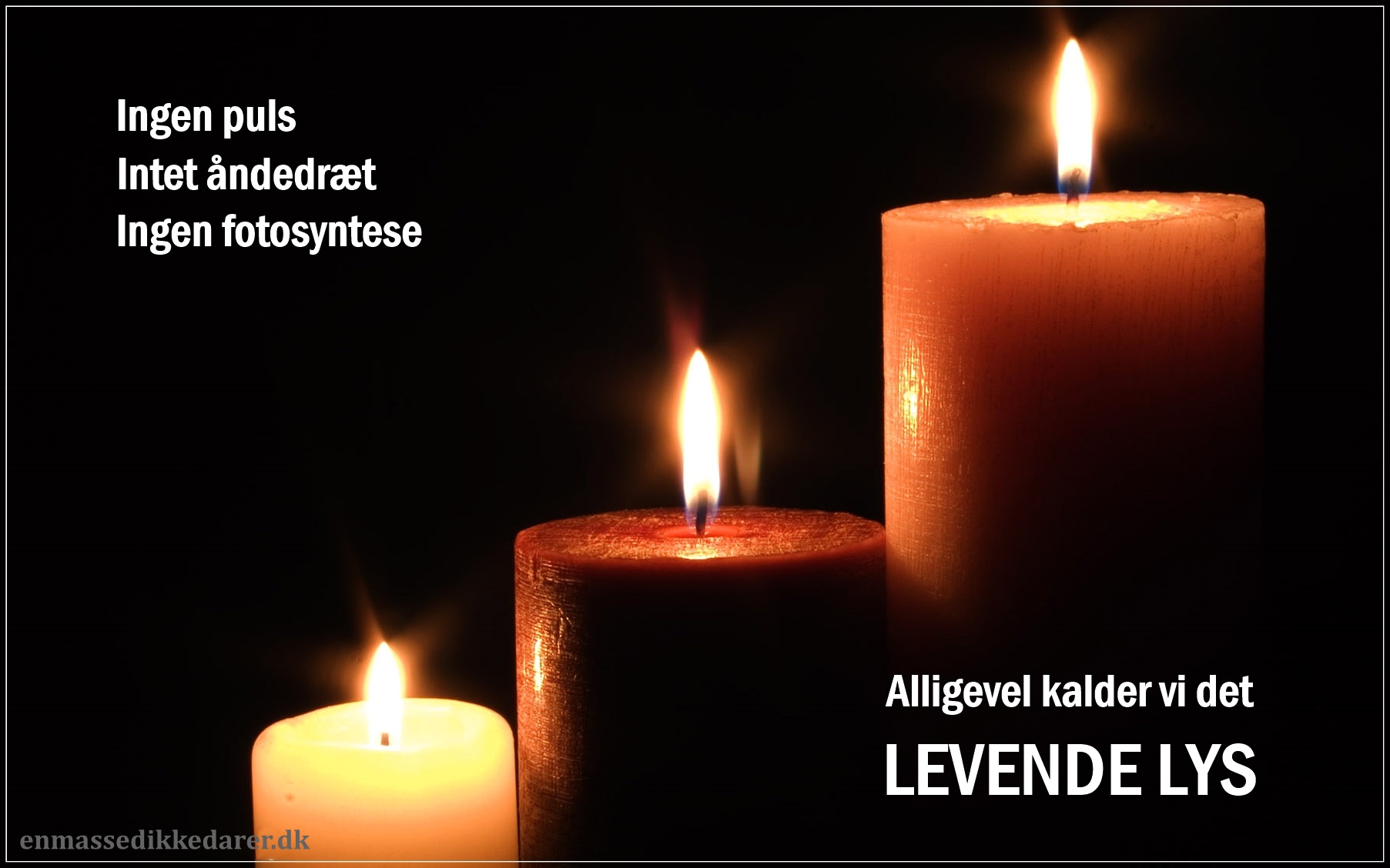 Levende lys